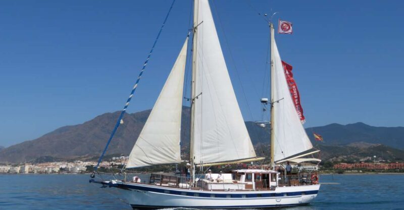 Estepona: Dolphin Watching Sailboat Cruise with Drink - Who Would Love This Experience?