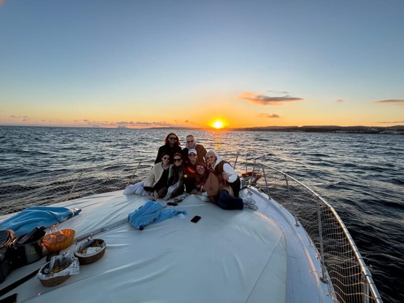 Estepona: Dolphins Searching Sea Cruise with Drink & Snacks - Who Will Love This Experience?