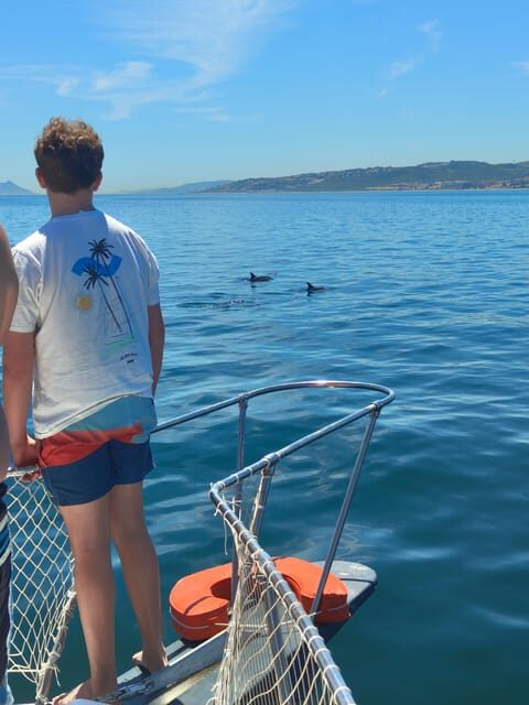 Estepona: Dolphins Searching Sea Cruise with Drink & Snacks - Final Thoughts