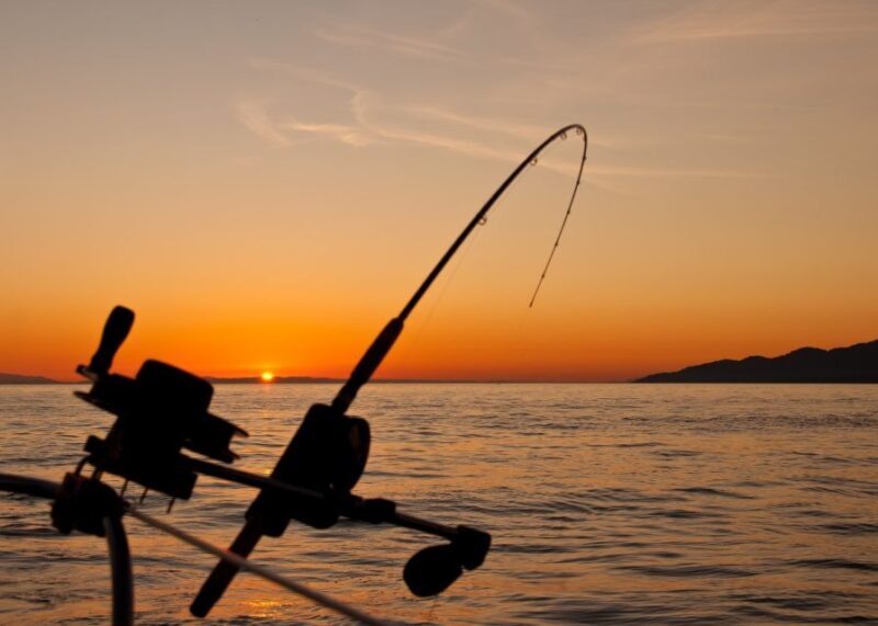 Estepona: Fishing Tour StartFisher 1060 - FAQ