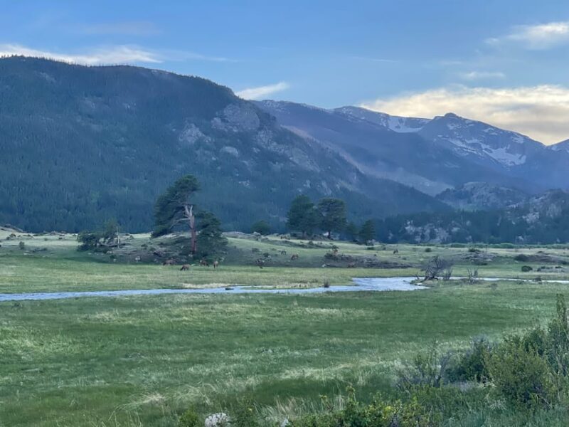Estes Park: Guided Elk Rut Tour - Key Points