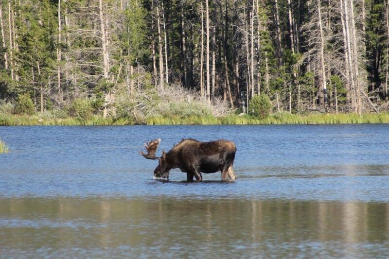 Estes Park: Waterfall Hiking Tour - Exploring the Rocky Mountain Waterfall Hike