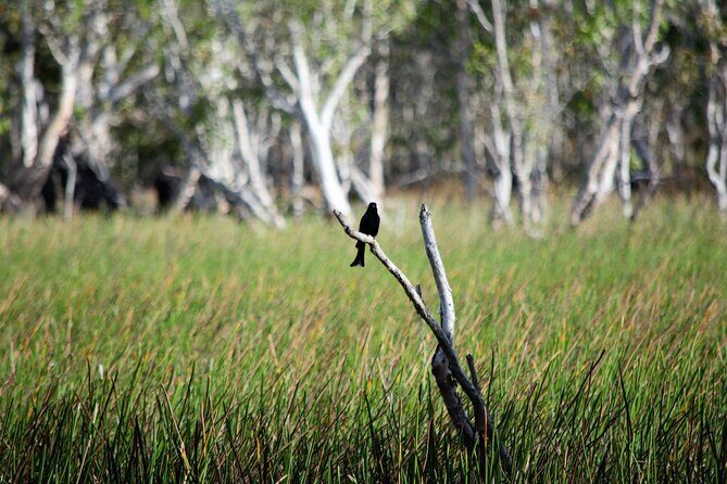 ETHICAL ADVENTURES - 1 Day premium Litchfield tour, small group - What to Expect from This Litchfield Small-Group Tour