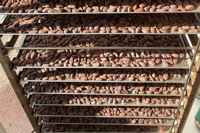 Ethical Chocolate Tour - Tasting Experience and Variety