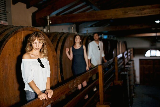 Etna Countryside Food & Wine Lovers Tour (Small Group or Private) - Considerations & Tips