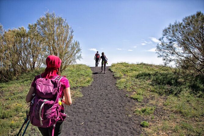 Etna Family Tour Excursion for families with children on Etna - Key Points  