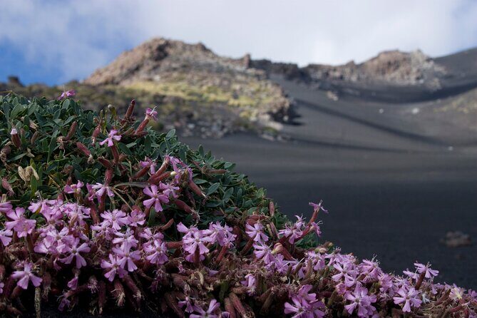 Etna Morning or Sunset - Trek & Lava Tunnel with Gear - Key Points