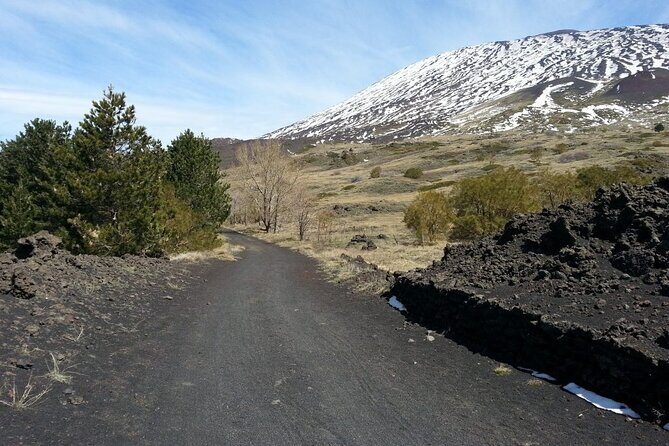 Etna Morning - Pickup Time 08:30 from your Hotel - Who Should Book This Tour?