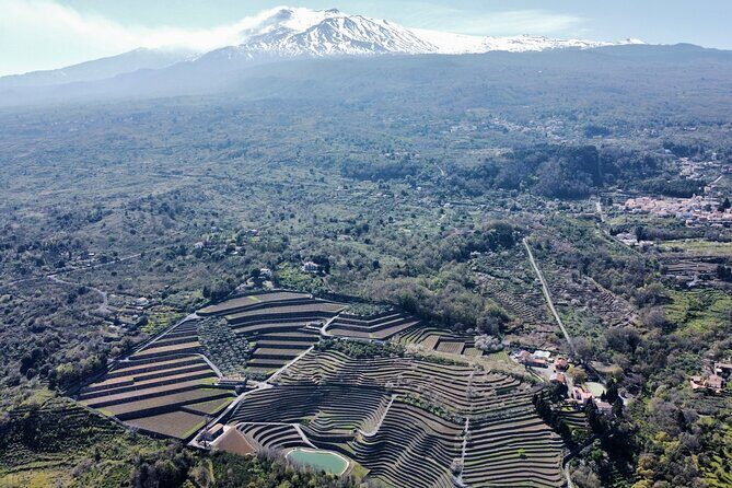 Etna panoramic private tour and Wine taste and food combination - Key Points