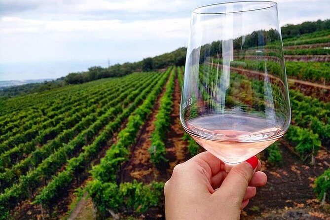 Etna panoramic private tour and Wine taste and food combination - A Closer Look at the Itinerary and Experience