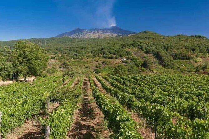 Etna panoramic private tour and Wine taste and food combination - Final Thoughts & Who Should Book