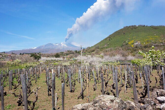 Etna Private tour from Messina Cruise Terminal + Lunch at Winery - FAQ
