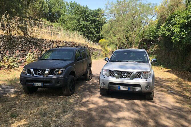 Etna private tour in 4x4 & Sicilian food farm experience - Key Points