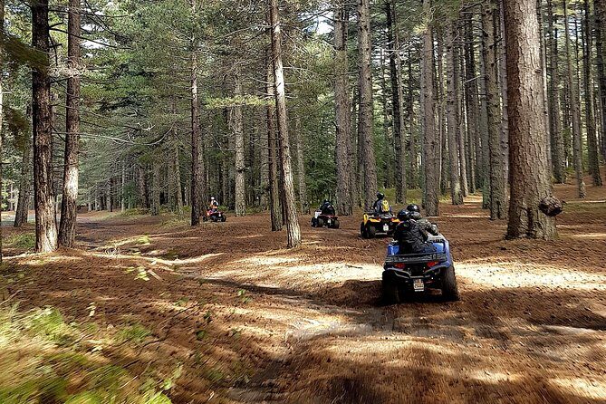 Etna quad tour - half day - Scenic Views and Photo Opportunities