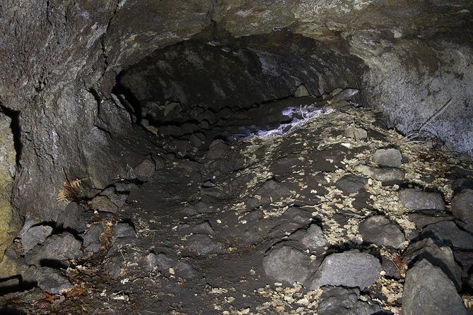 Etna trekking tour - Why This Tour Is Worth It