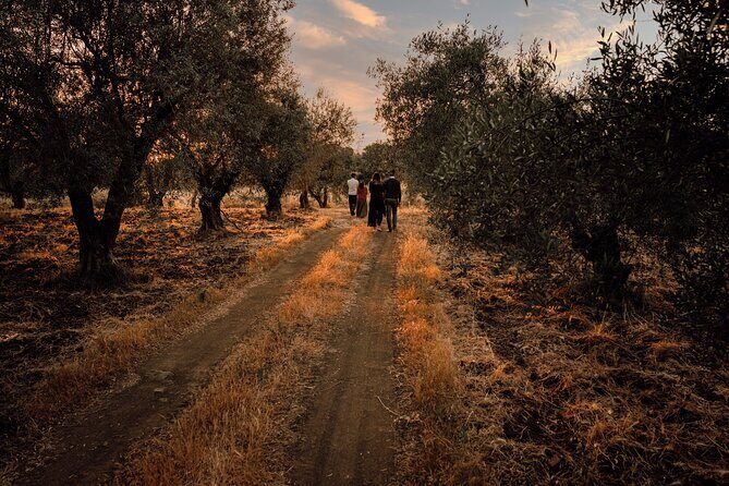 Etna Urban Winery - Sunset vineyard Walk and Tasting Dinner - Frequently Asked Questions