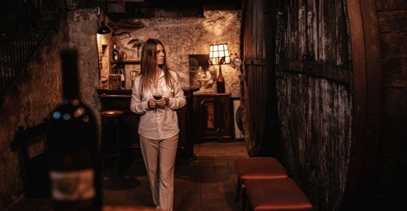 Etna Urban Winery, Vineyard Walk & Sunset Tasting Dinner - Authentic Insights from Visitors