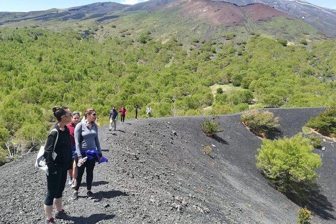 Etna, Wine and Alcantara Tour - From Taormina - The Value of This Tour