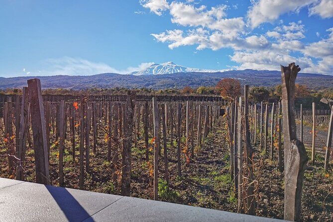 Etna Wine and Alcantara with lunch - An In-Depth Look at the Itinerary