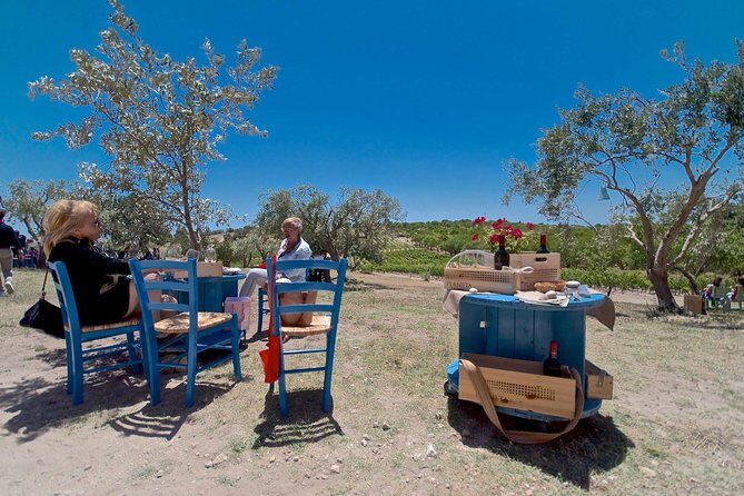 Etna Wine and Food Volcanic Day Tour - Private Experience - Discovering Mount Etna: An Active Volcano’s Majesty