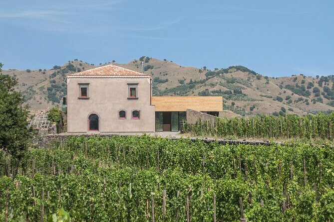 Etna Wine Tasting & Sicilian Lunch Small Group Tour from Catania - FAQ