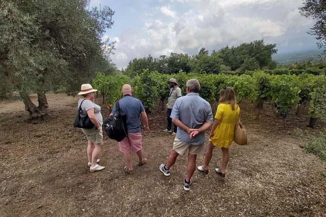 Etna Wineries Tour - Small Groups from Taormina - Transportation, Group Size, and What It Means for You