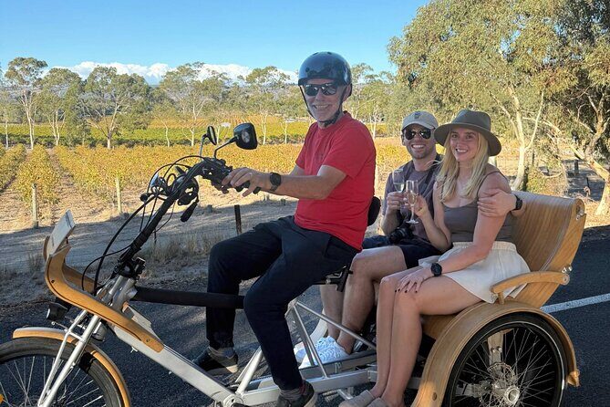 eTukTuk Adventure from Oxenberry Farm in McLaren Vale - Key Points