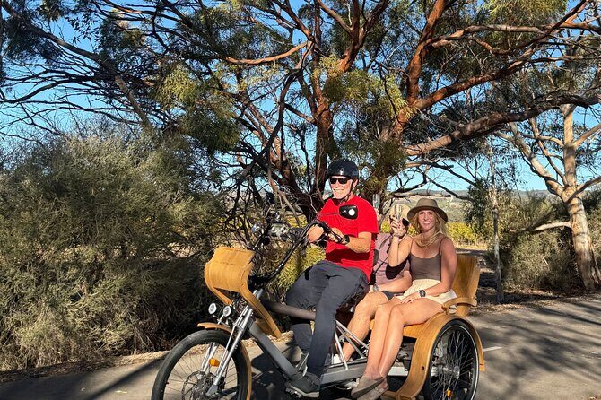 eTukTuk Adventure from Shirvington Wines - McLaren Vale - Authentic Insights from Reviewers