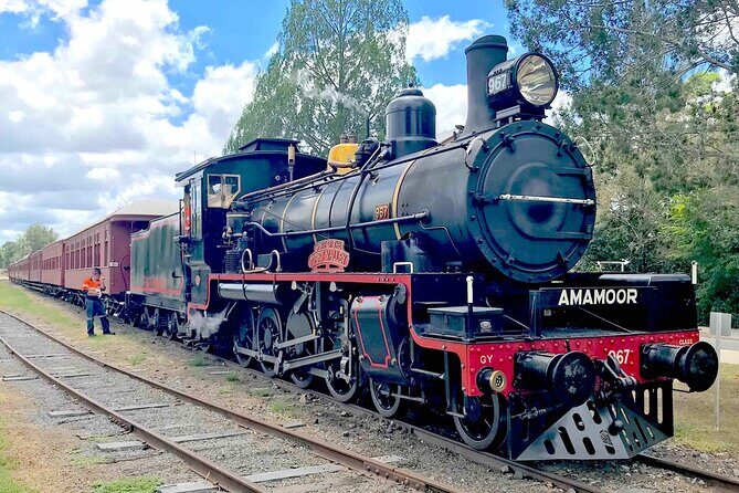 Eumundi Markets Bus Transfer: Mooloolaba Sunshine Coast & Noosa - Who Will Love This Experience?