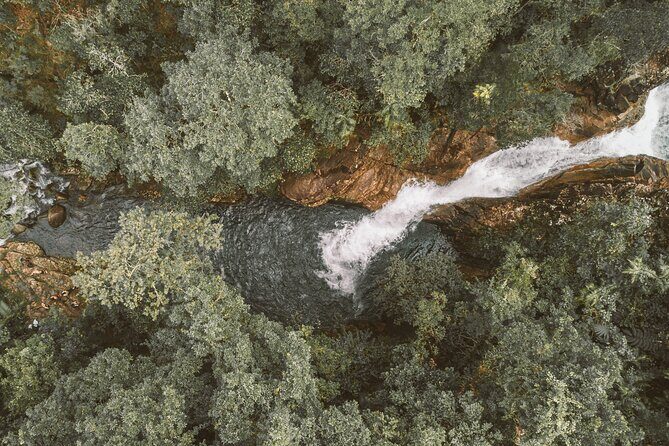 Eungella Platypus Tour - Why This Tour is Worth Considering