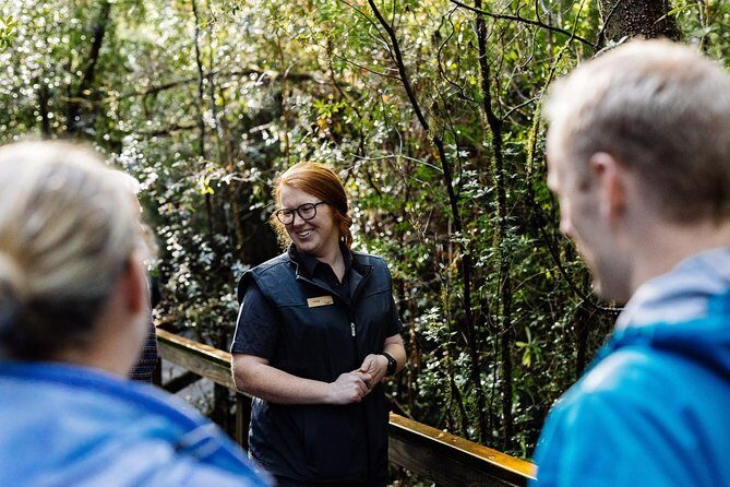 Evening Dinner Cruise - An In-Depth Look at the Gordon River Dinner Cruise