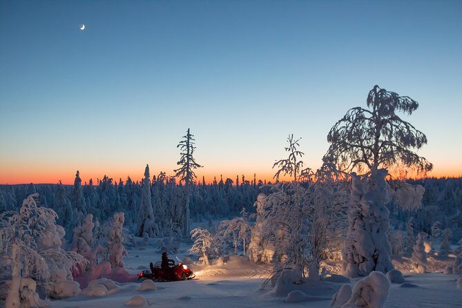 Evening Escape - Snowmobile safari and campfire in Rovaniemi - The Itinerary: What to Expect