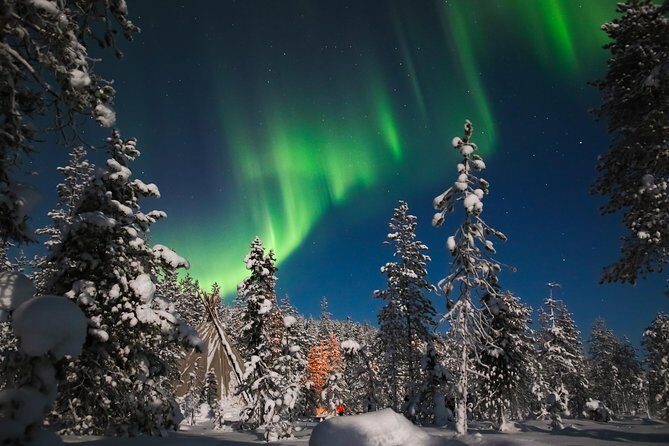 Evening Escape - Snowmobile safari and campfire in Rovaniemi - Who Will Love This?