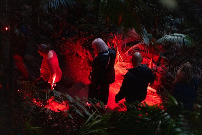 Evening Rainforest & Glow Worm Tour from Gold Coast - Transportation, Duration, and Practicalities