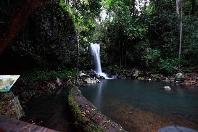 Evening Rainforest & Glow Worm Tour from Gold Coast - FAQ