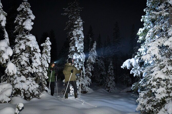 Evening Ski Trek to the Wilderness - Extra Small group - Discovering the Magic of the Evening Ski Trek to the Wilderness
