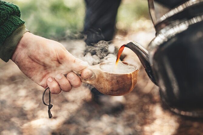 Evening Wildlife Safari Stockholm - Final Thoughts: Is It Worth It?