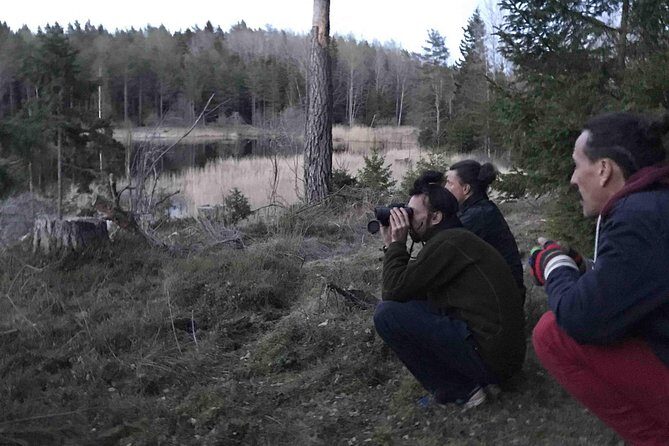 Evening Wildlife Safari with Campfire Dinner from Stockholm - Value for Money: Is It Worth It?
