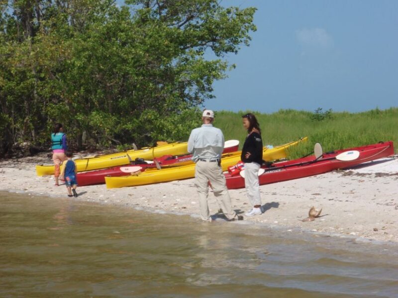 Everglades: Boat Assisted Kayak Eco Tour - Frequently Asked Questions