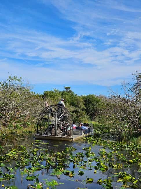 Everglades: boat tour with transportation& entrance included - Key Points
