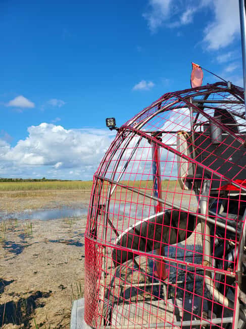 Everglades: boat tour with transportation& entrance included - Authentic Experiences from Other Travelers