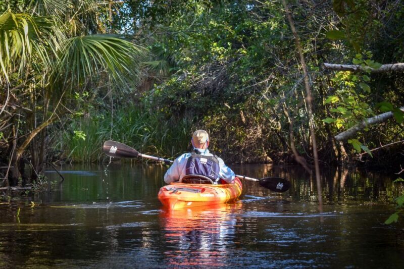 Everglades City: Guided Kayaking Tour and Airboat Ride - Key Points