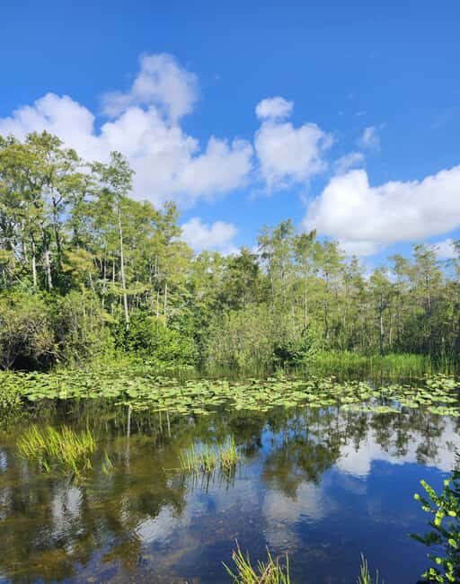 Everglades Eco Airboat Tour small group & top transportation - An In-Depth Look at the Everglades Eco Tour