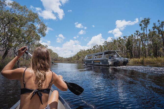 Everglades Explorer - Noosa Everglades Tour - The Experience: A Deep Dive into the Noosa Everglades Tour