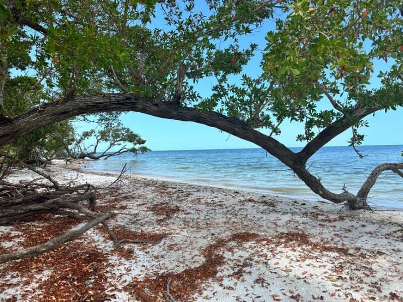 Everglades Pirate and Beach Adventure - Exploring the Itinerary and Highlights