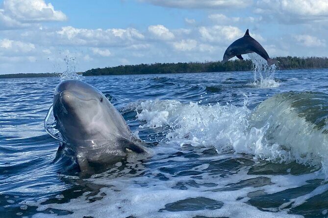 Everglades Small Group Guided Boating and Walking Expedition - Who Should Consider This Tour?