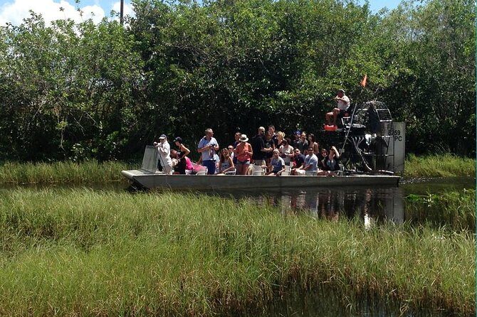 Everglades Tour from Miami with Transportation - The Alligator Show and Wildlife Education
