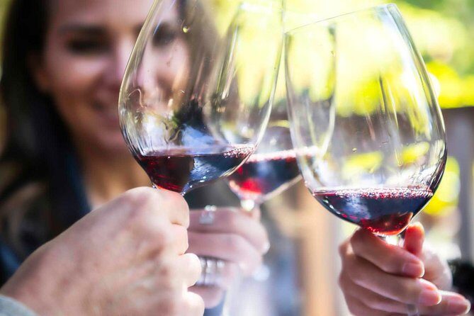 Evora & Alentejo Wines: A Journey Through History and Flavors - The Heart of the Tour: Wine Tasting at Enoturismo Cartuxa