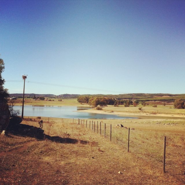 Évora and Megaliths Full-Day Tour from Lisbon - Key Points
