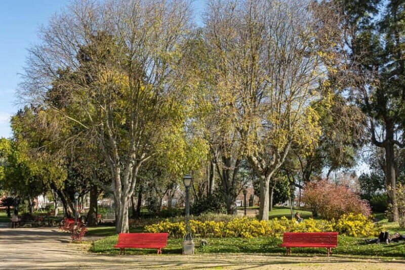 Évora: Private & Flexible Walking Tour in Historic Center - Authentic Experiences and User Feedback